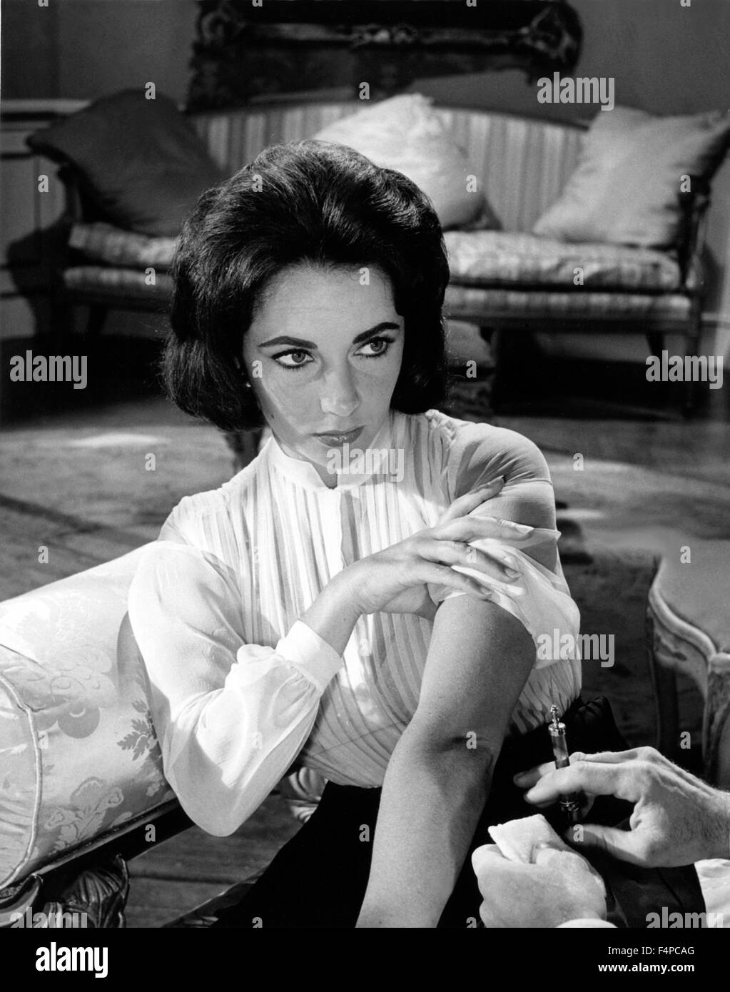 Suddenly, last summer (1959) hi-res stock photography and images - Alamy
