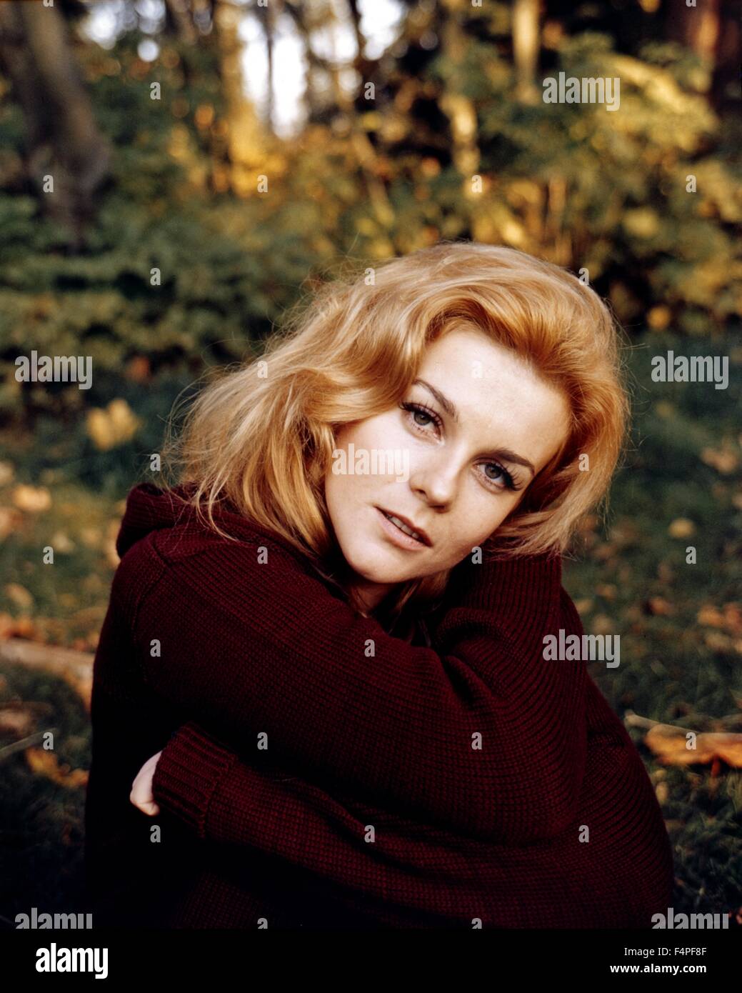 Carnal Knowledge (1971)