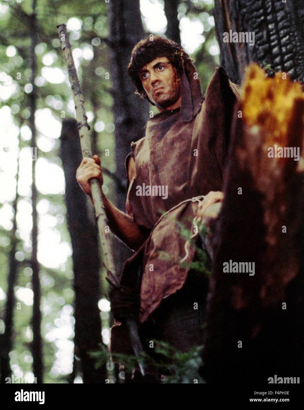 Sylvester Stallone / First Blood / 1982 directed by Ted Kotcheff Stock ...