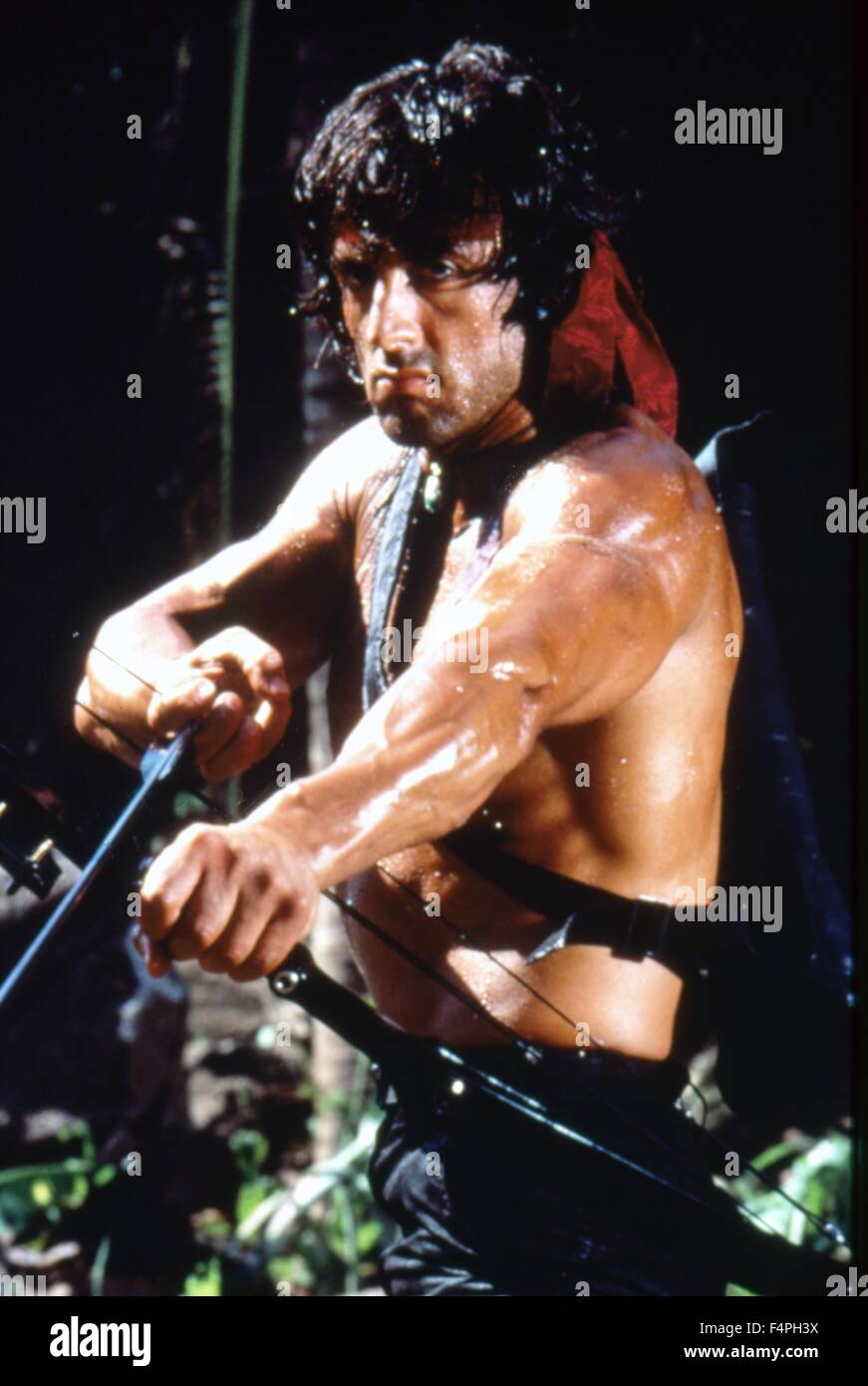Sylvester Stallone / Rambo: First Blood Part II / 1985 directed by George P. Cosmatos Stock ...