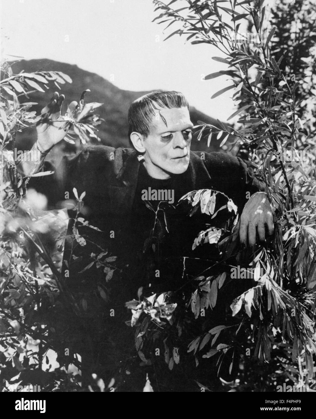 Frankenstein hi-res stock photography and images - Alamy