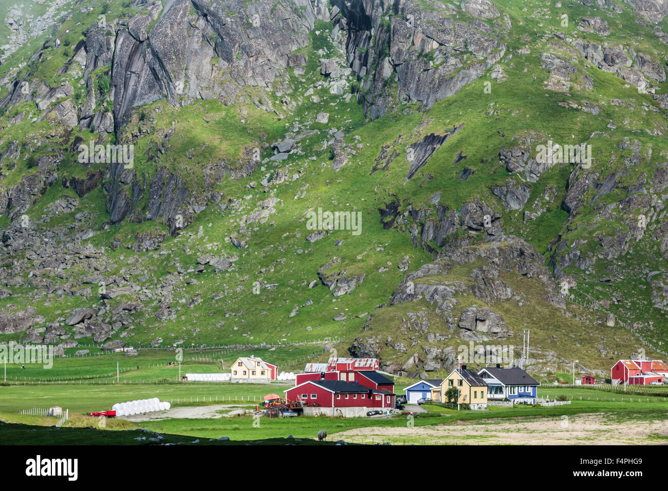 Traditional norwegian colorful houses ,Lofoten islands, Norway Stock ...