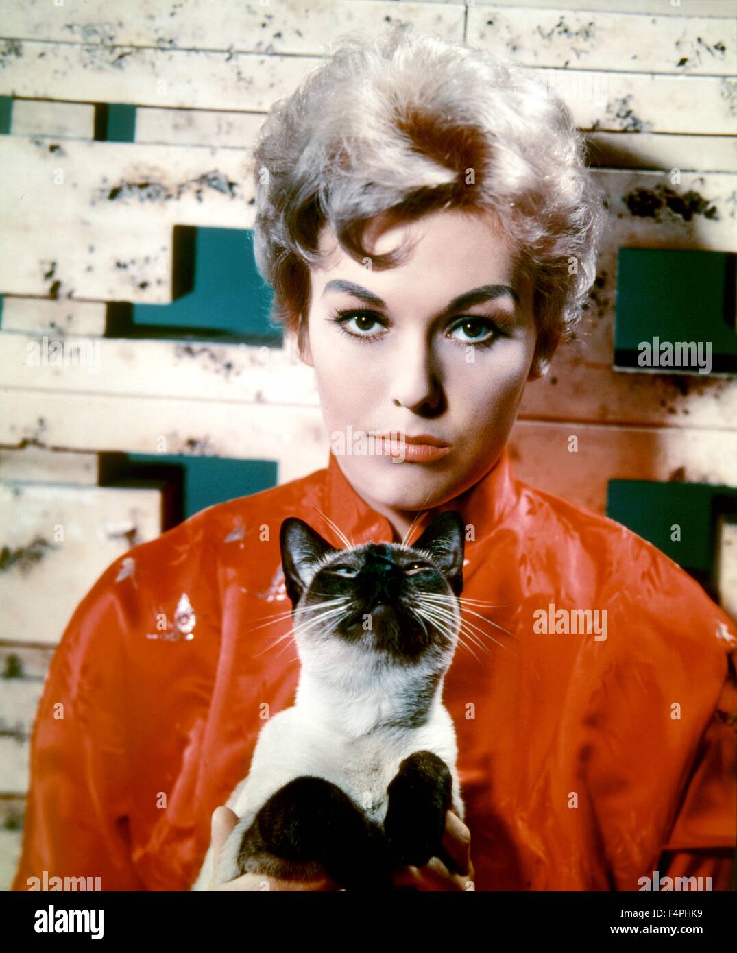 Kim Novak Bell Book And Candle