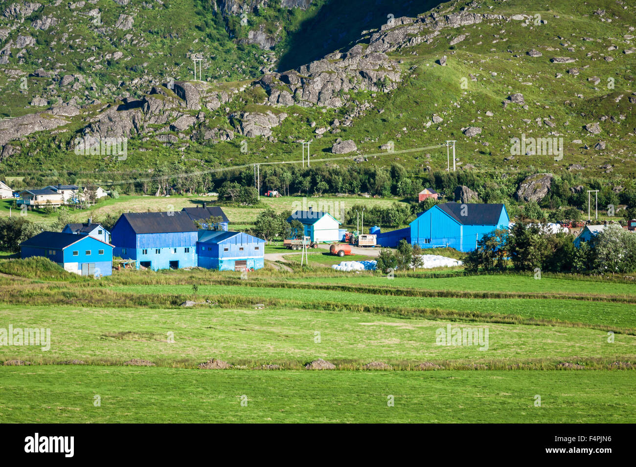 Traditional norwegian colorful houses ,Lofoten islands, Norway Stock ...