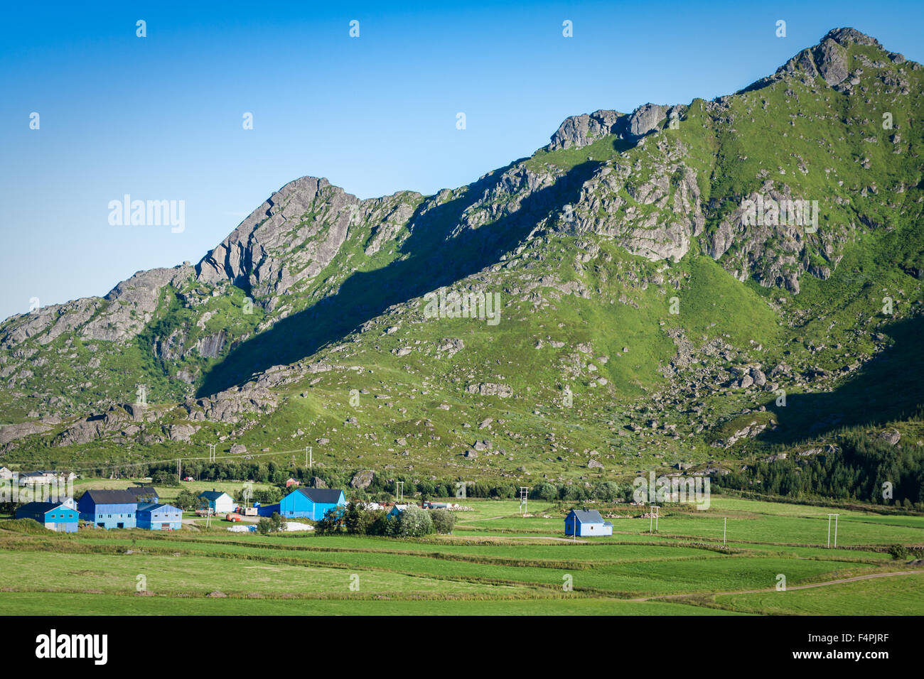 Traditional norwegian colorful houses ,Lofoten islands, Norway Stock ...