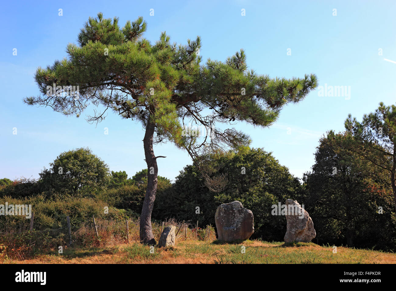 France, Brittany, Part of the stone circle, Cromlech von Crucuno ...
