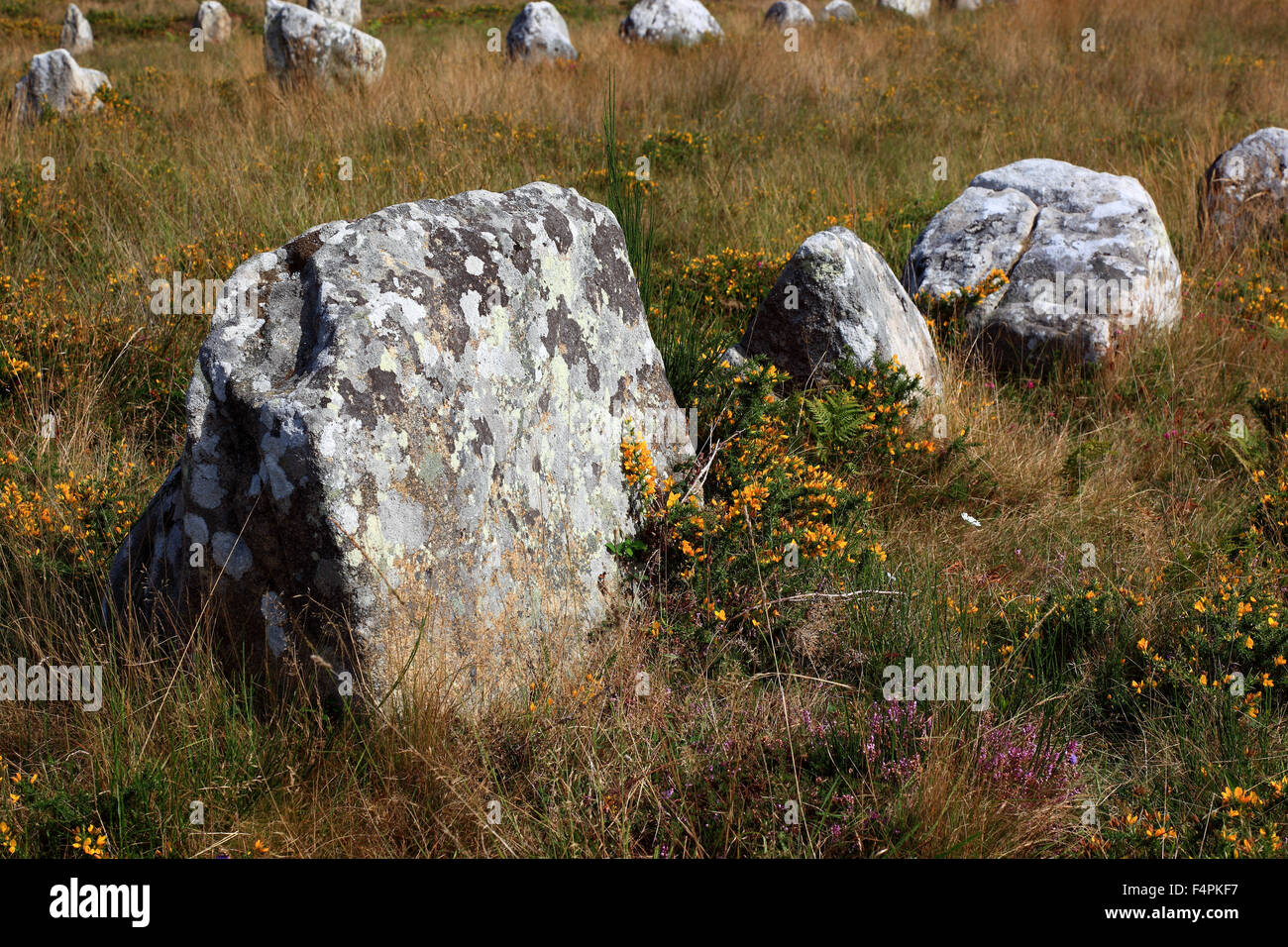 Carnac point hi-res stock photography and images - Alamy