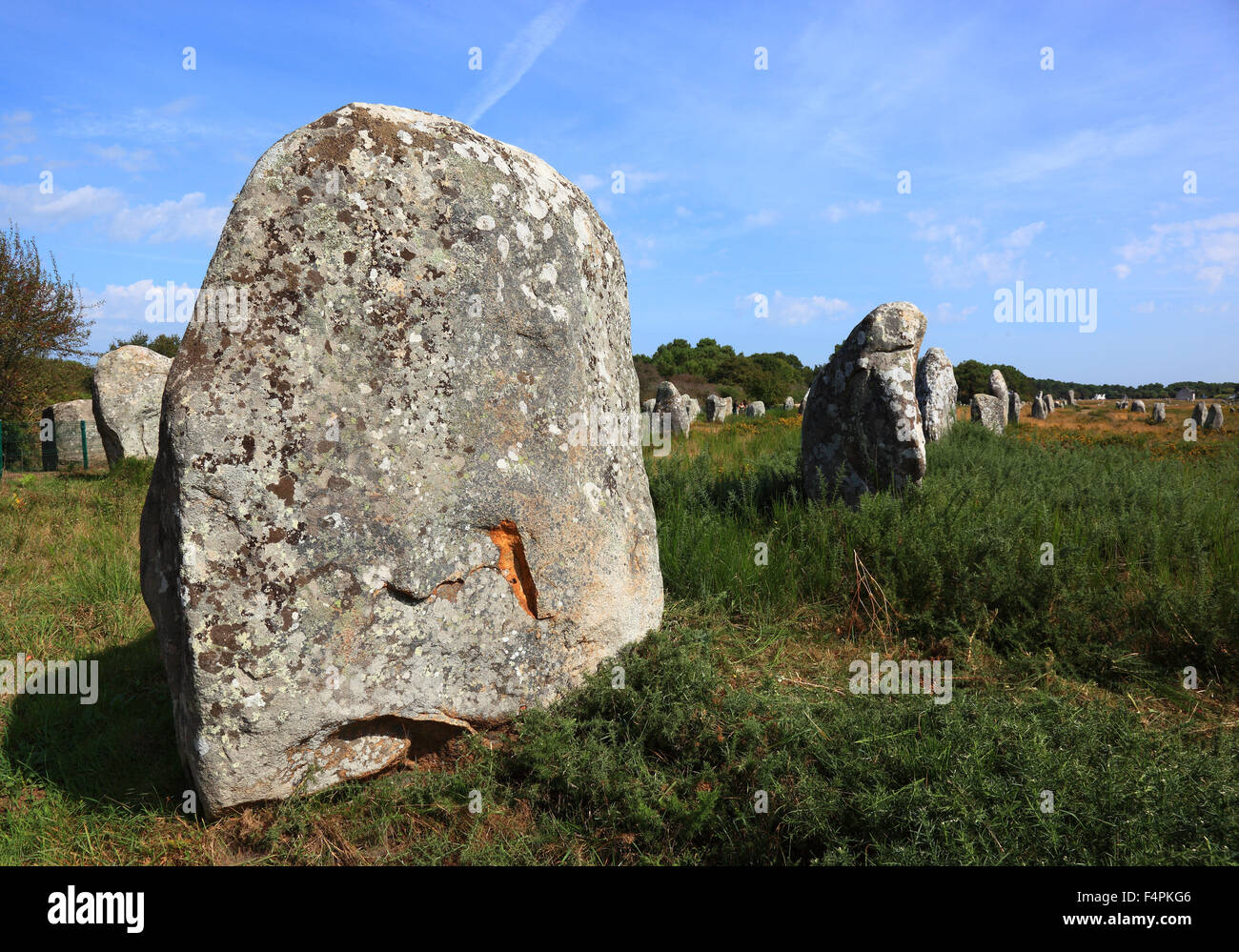 Carnac point hi-res stock photography and images - Alamy
