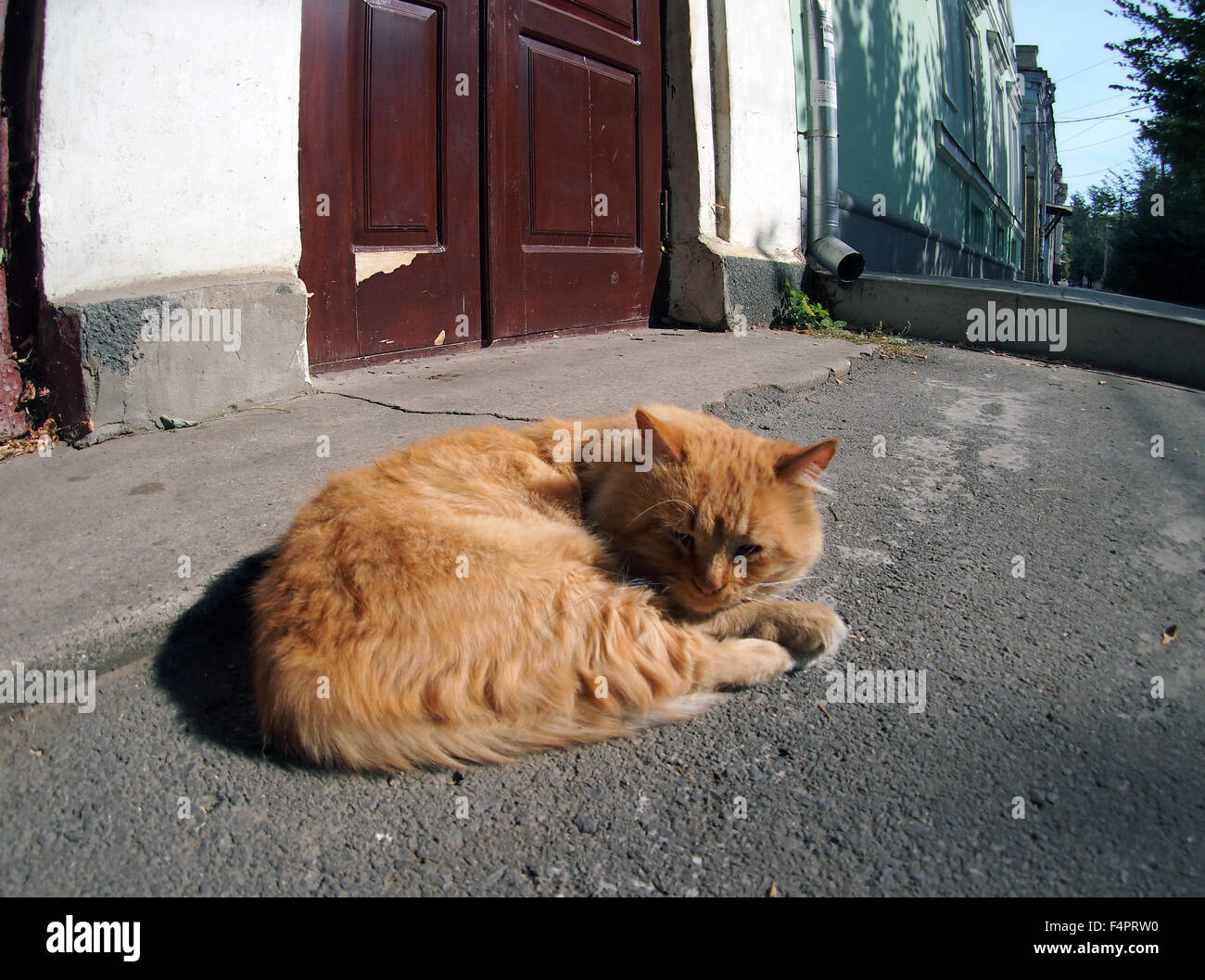 Wide angle view from the perspective distortion on the lonely and ...