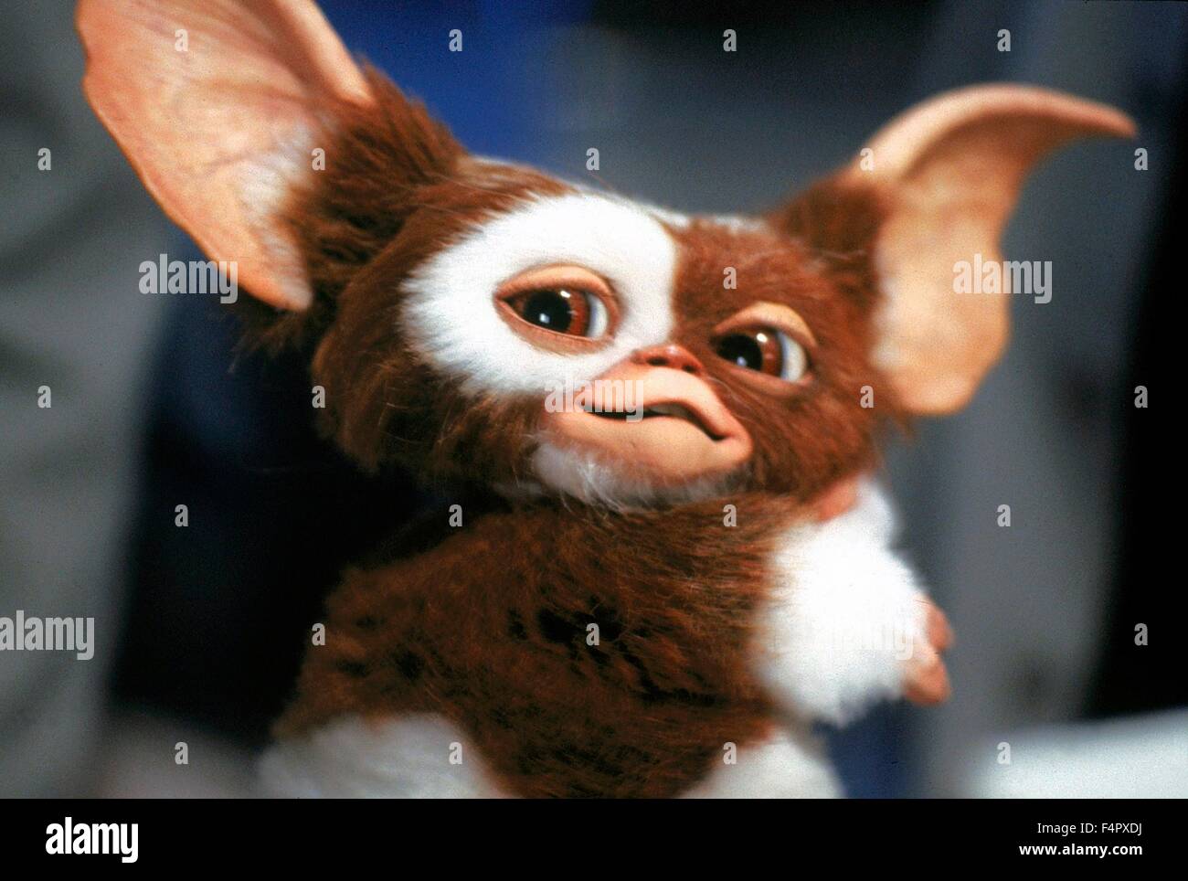 Gremlins / 1984 / directed by Joe Dante / [Warner Bros. Pictures ...