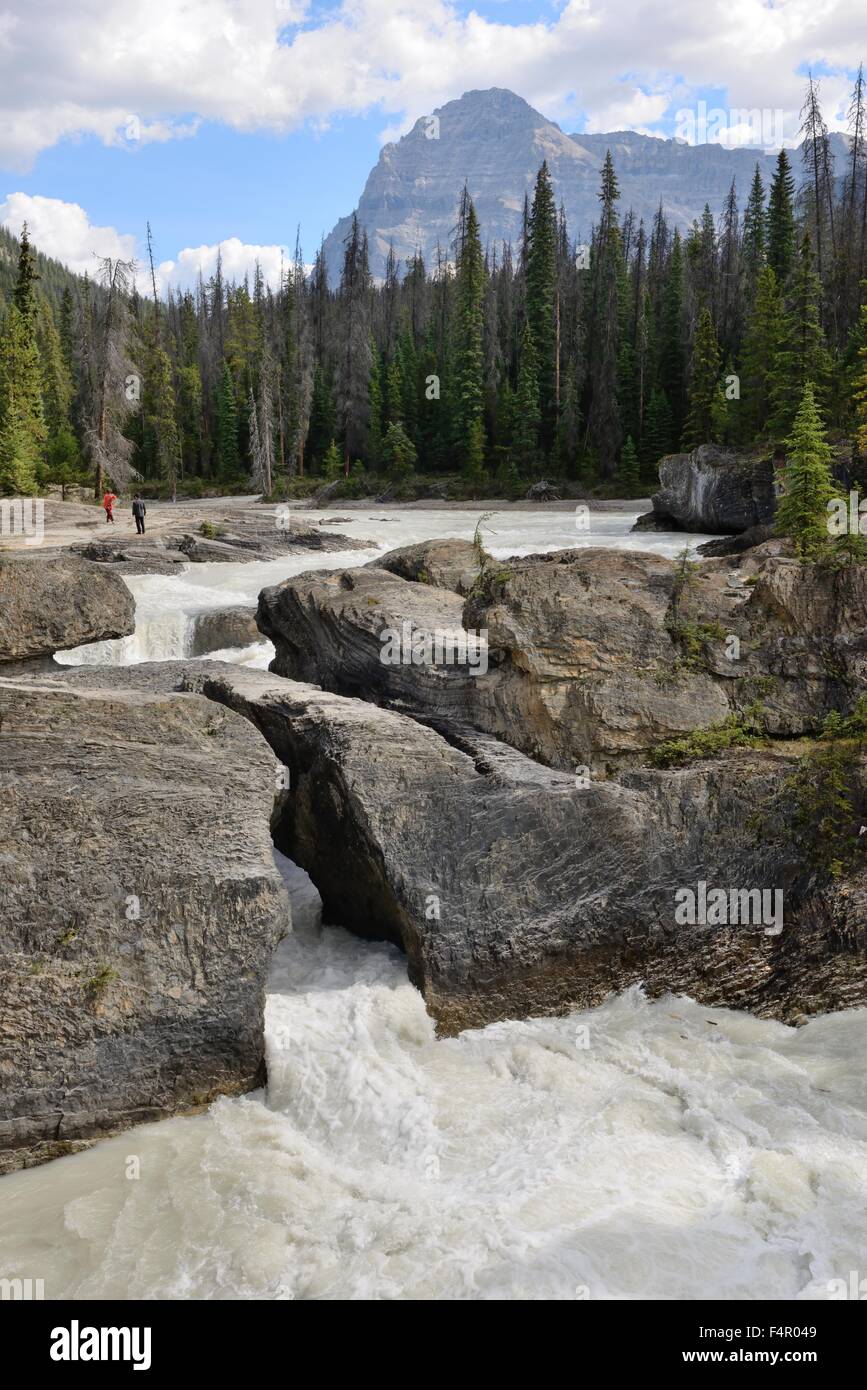 Sediment filled river hi-res stock photography and images - Alamy