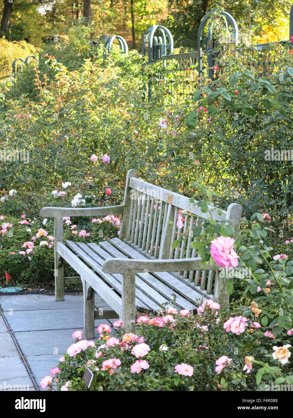 Wooden Bench, New York Botanical Garden, The Bronx, NY, USA Stock Photo ...