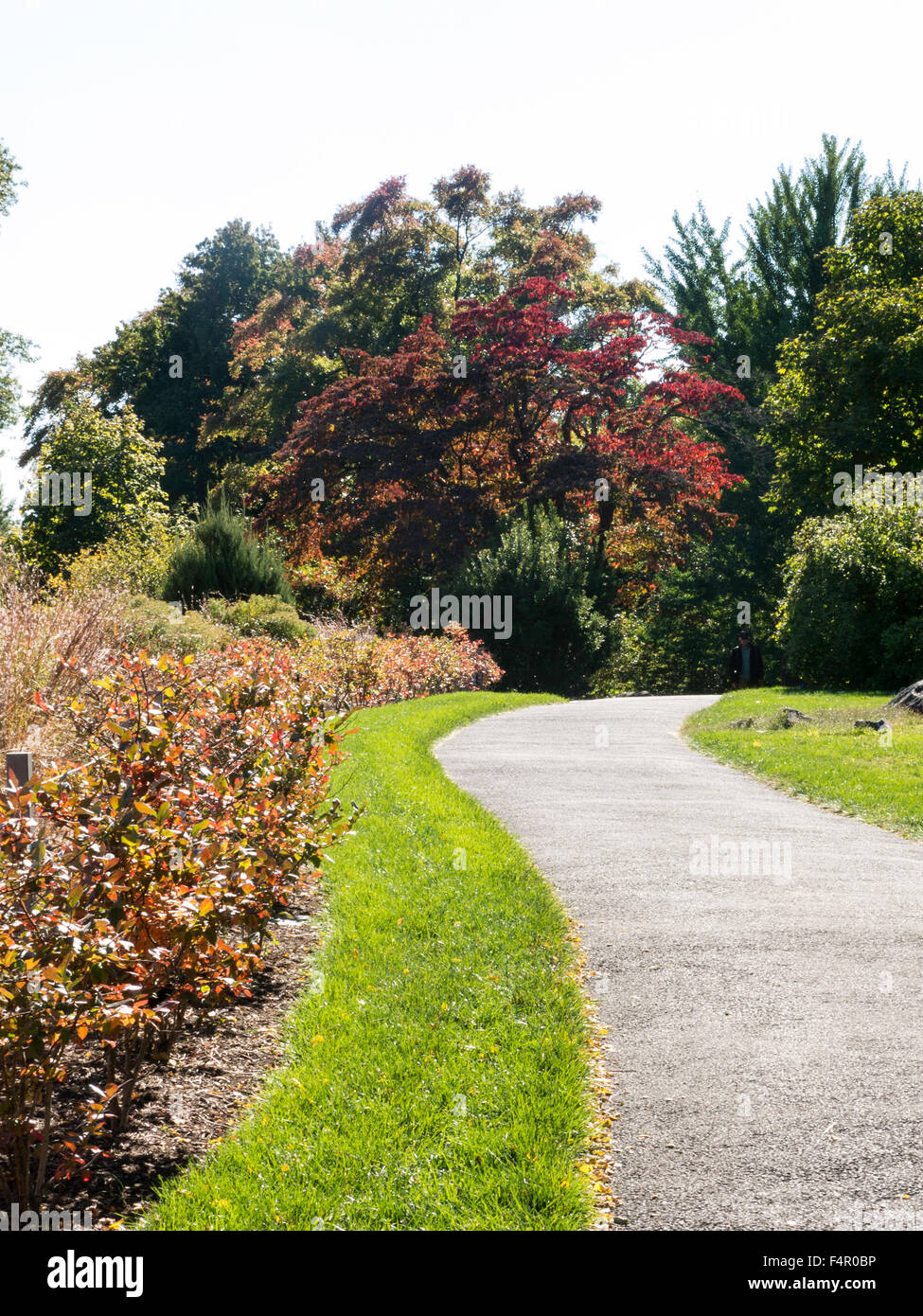 New York Botanical Garden, The Bronx, NY, USA Stock Photo - Alamy