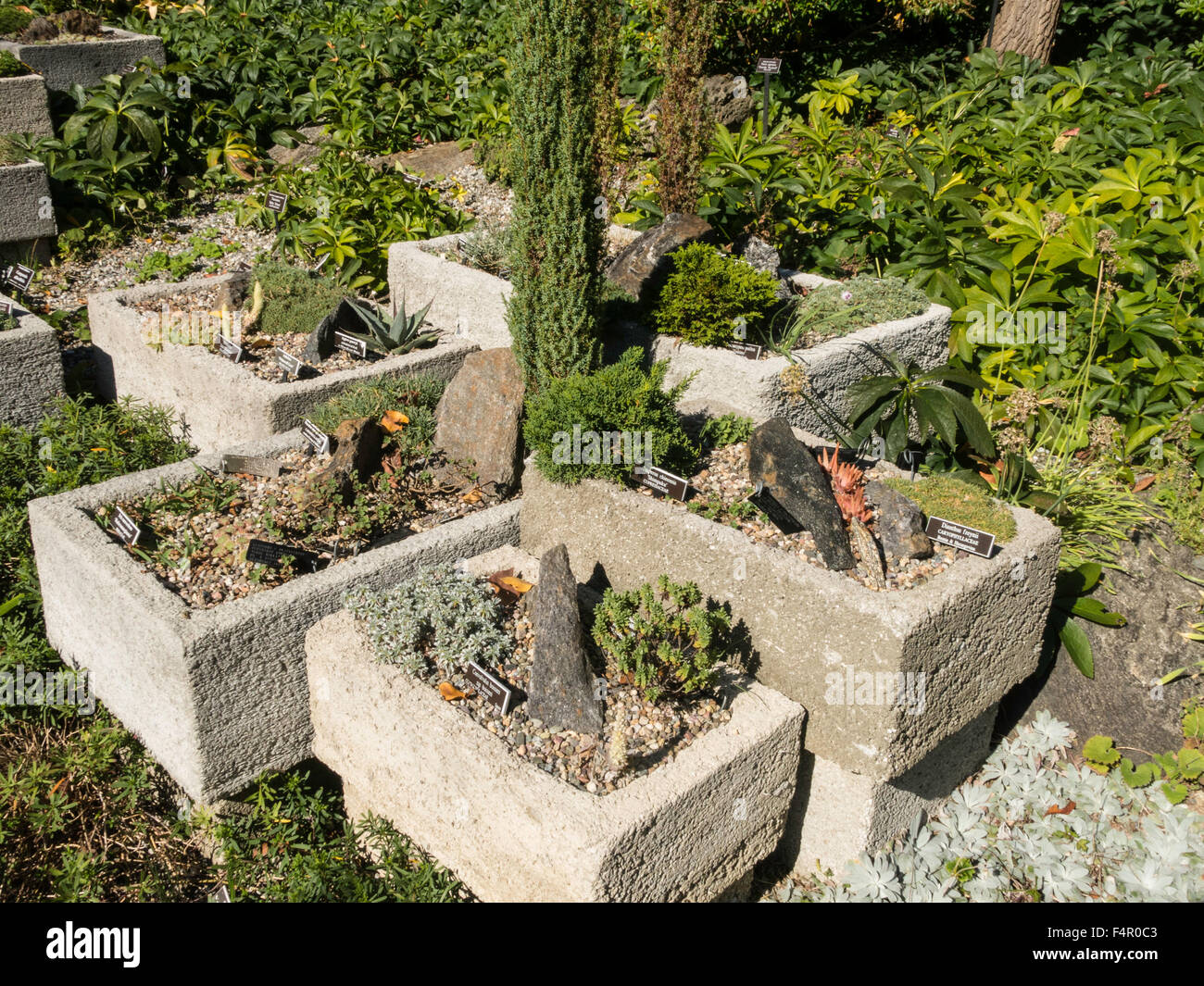 Rock Garden at the New York Botanical Garden, The Bronx, NY, USA Stock ...