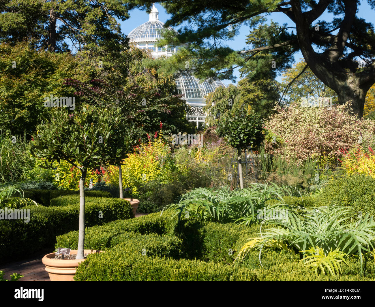 Nancy luce hi-res stock photography and images - Alamy