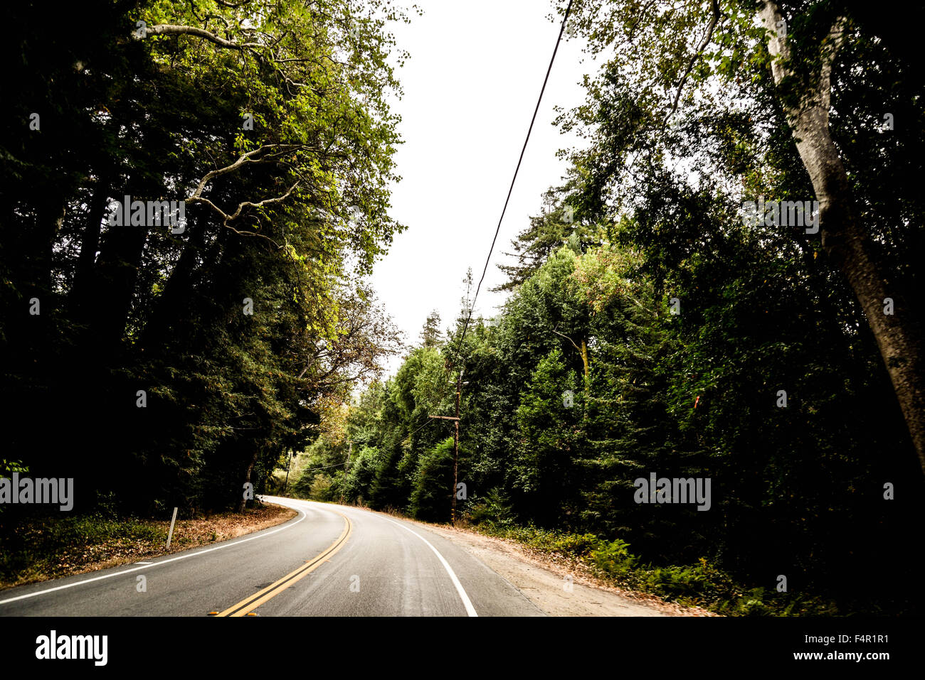 Serene road hi-res stock photography and images - Alamy