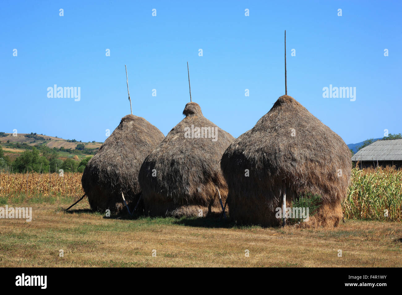Agriculture in the Maramures, Romania, traditional barn Stock Photo - Alamy