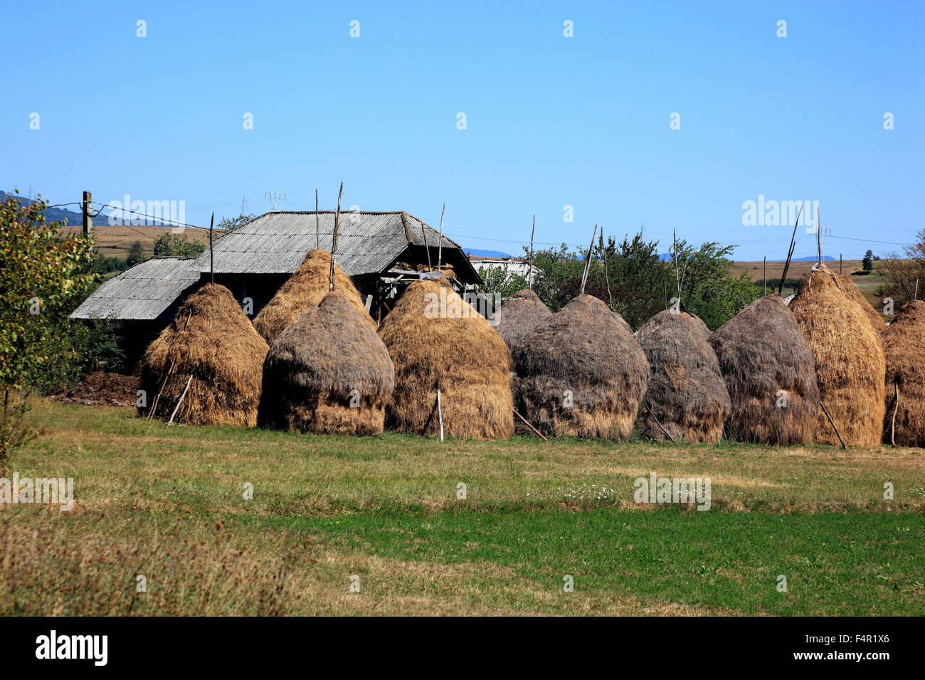 Agriculture in the Maramures, Romania, traditional barn Stock Photo - Alamy