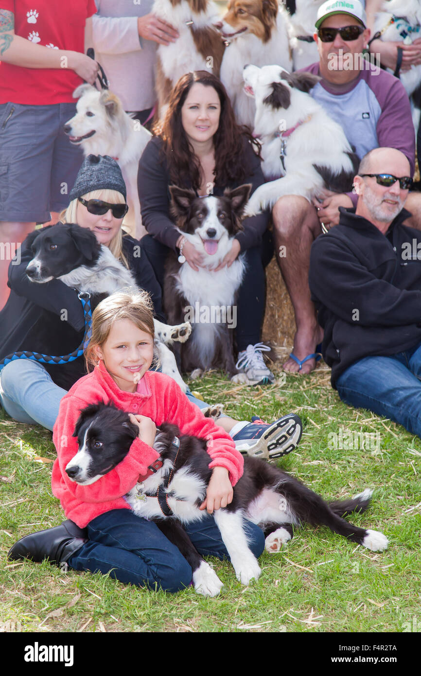 Border Collie owners and their dogs gather together for a photograph at ...