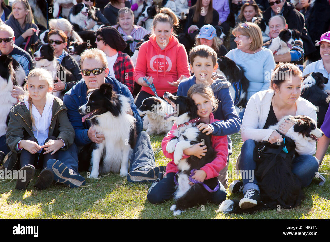 Border Collie owners with their dogs pose for a group photograph at the ...