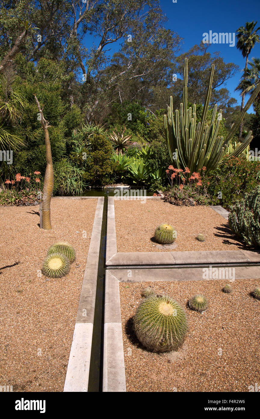 A garden of Cacti in Sydney, Australia, surrounded by Australian native ...