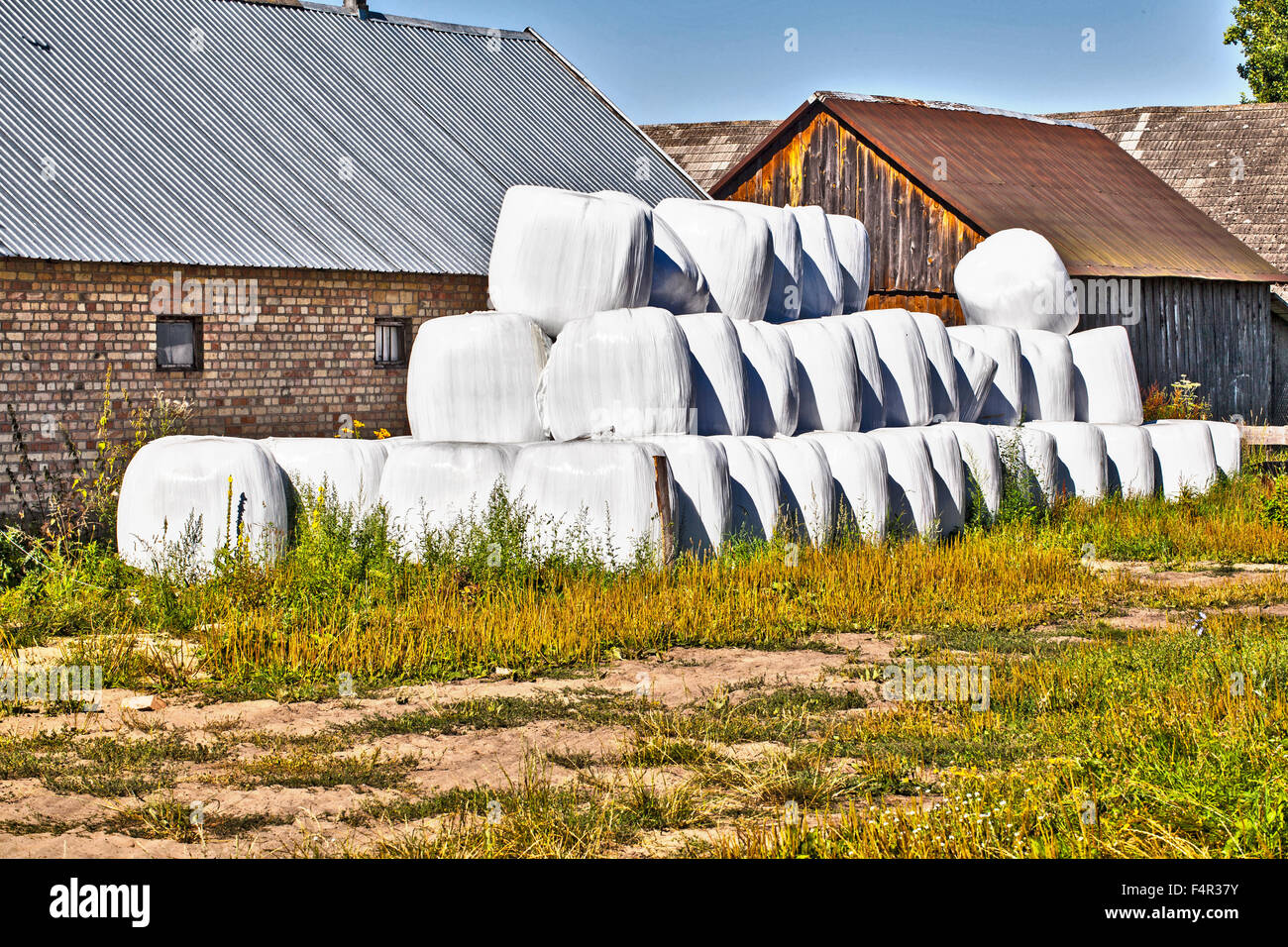 Fermentation hay hi-res stock photography and images - Alamy