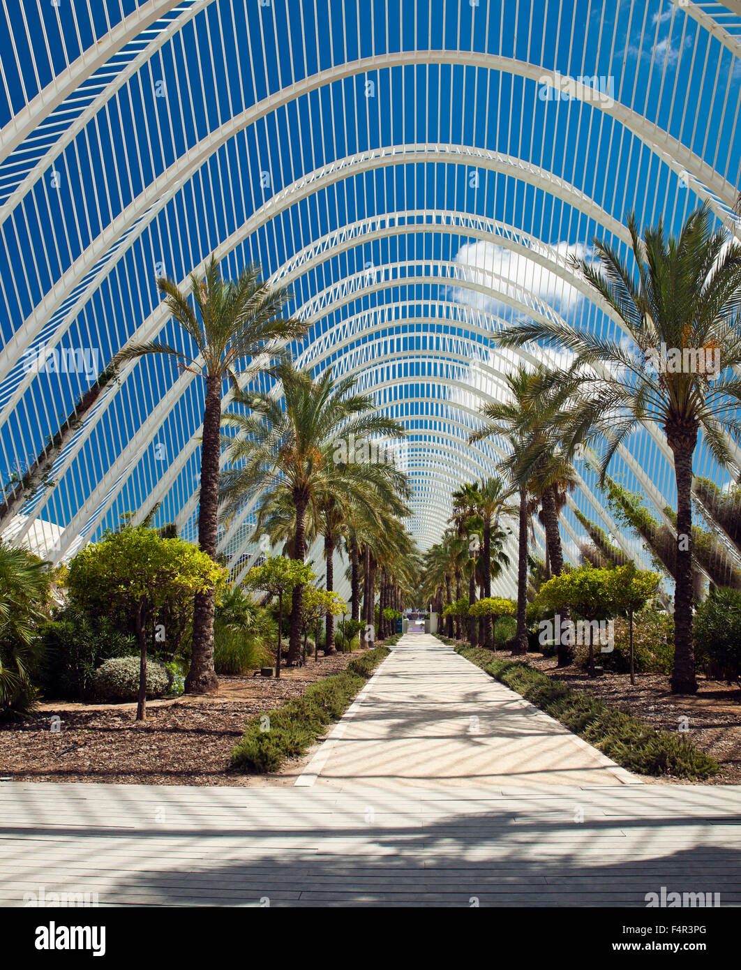 L Umbracle, The City of Arts and Sciences, (Ciudad de las Artes y las ...