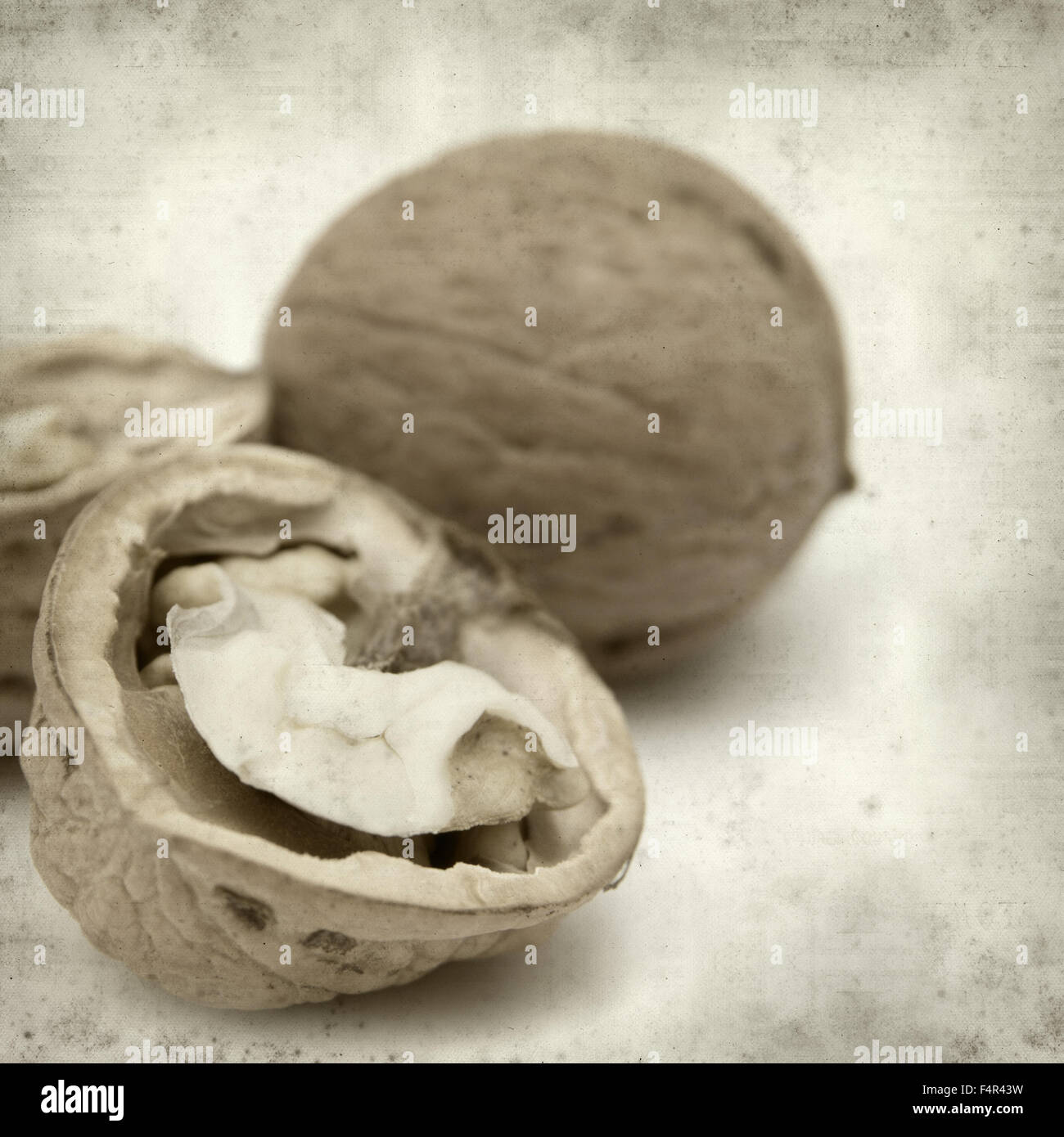 textured old paper background with freshly harvested walnuts Stock ...