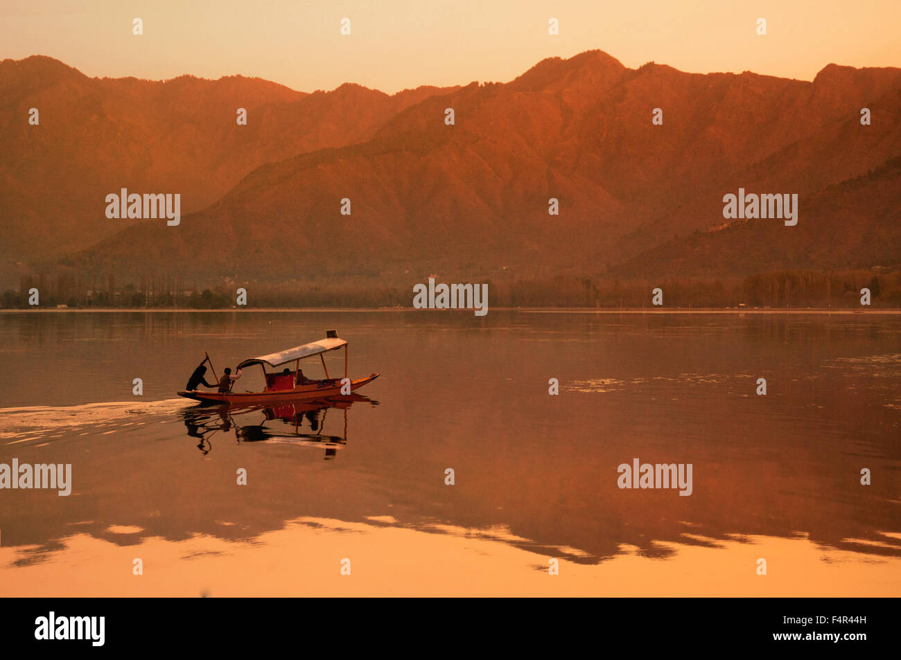 Sunset Dal Lake in Srinagar, Kashmir, India Stock Photo - Alamy