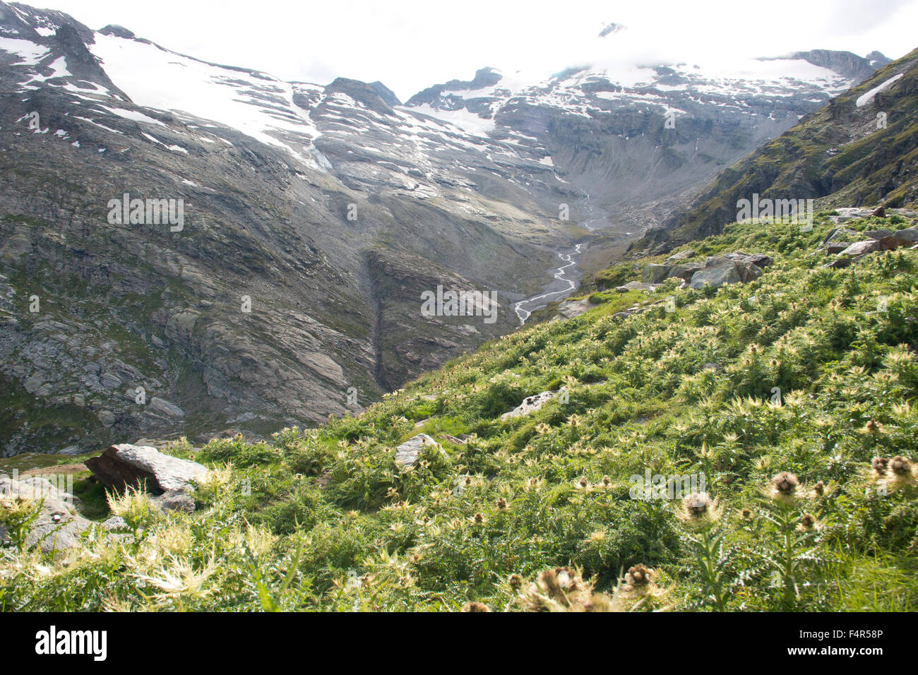 Switzerland, Europe, Graubünden, Grisons, Hinterrhein, Parc Adula ...