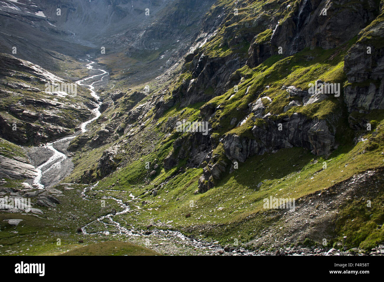 Switzerland, Europe, Graubünden, Grisons, Hinterrhein, Parc Adula ...