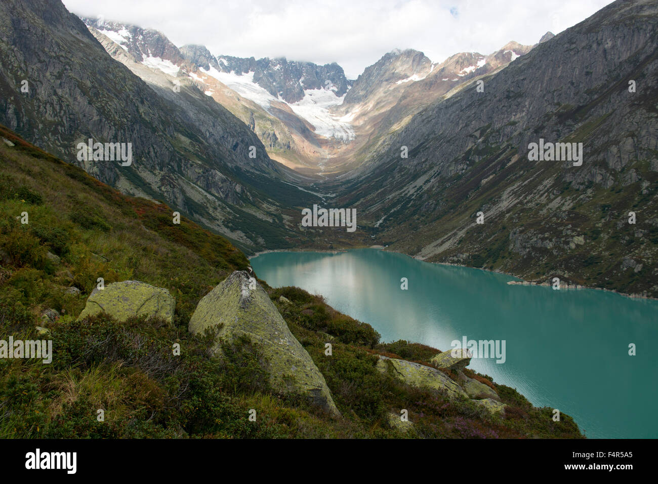 Chelen hi-res stock photography and images - Alamy