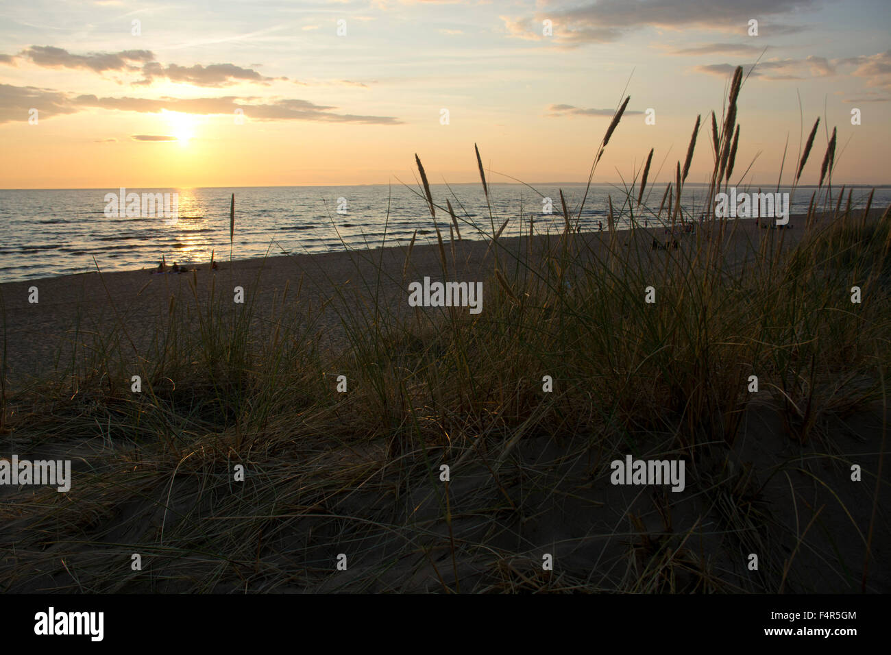 Sweden, Europe, Halland, Laholm, Mellbystrand, coast, west coast, beach ...