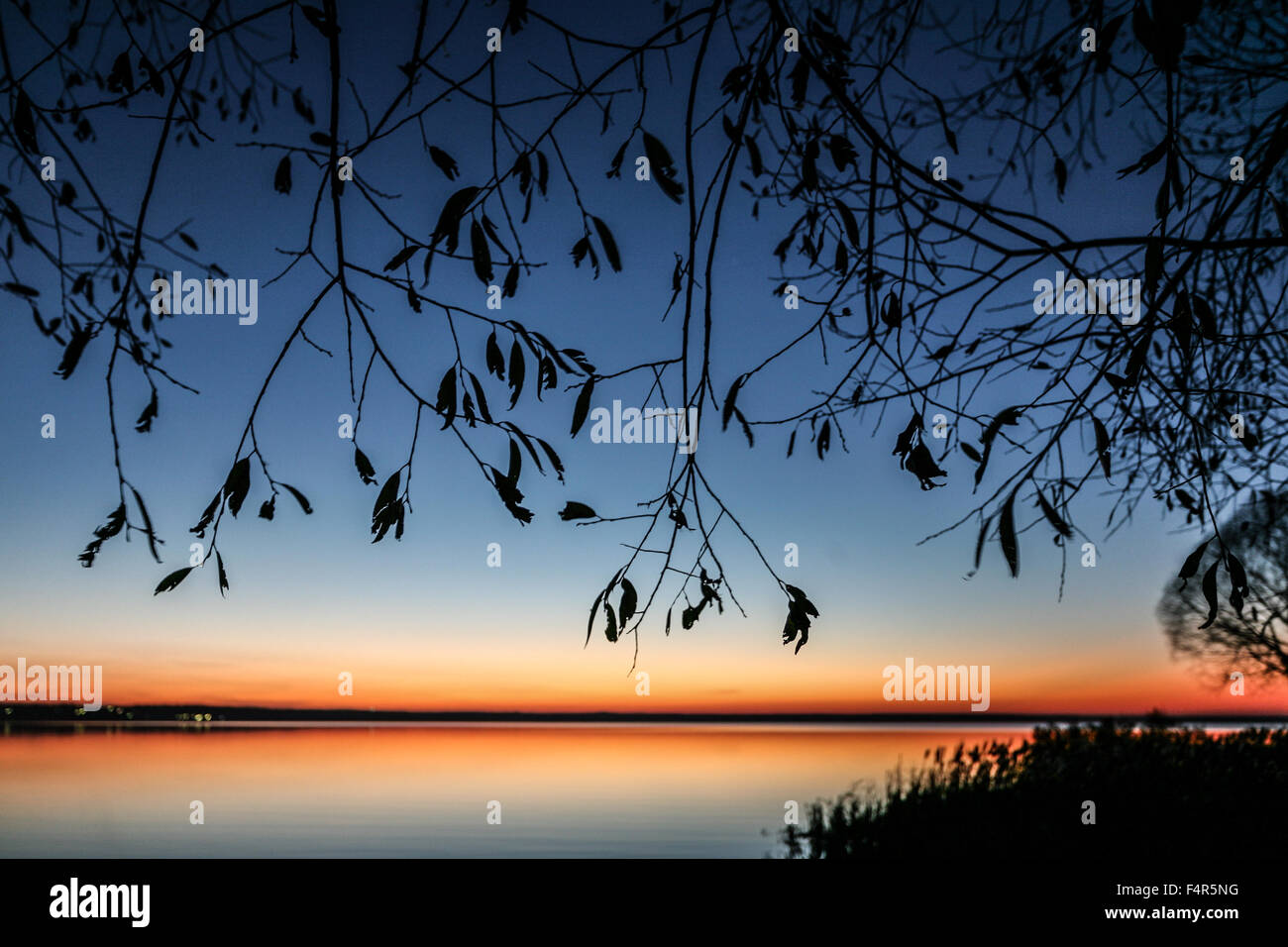 autumn leaves at sunset Stock Photo - Alamy