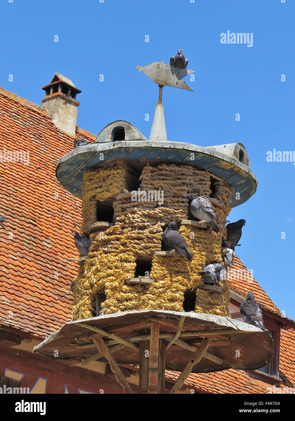 Roof with pigeons hi-res stock photography and images - Alamy