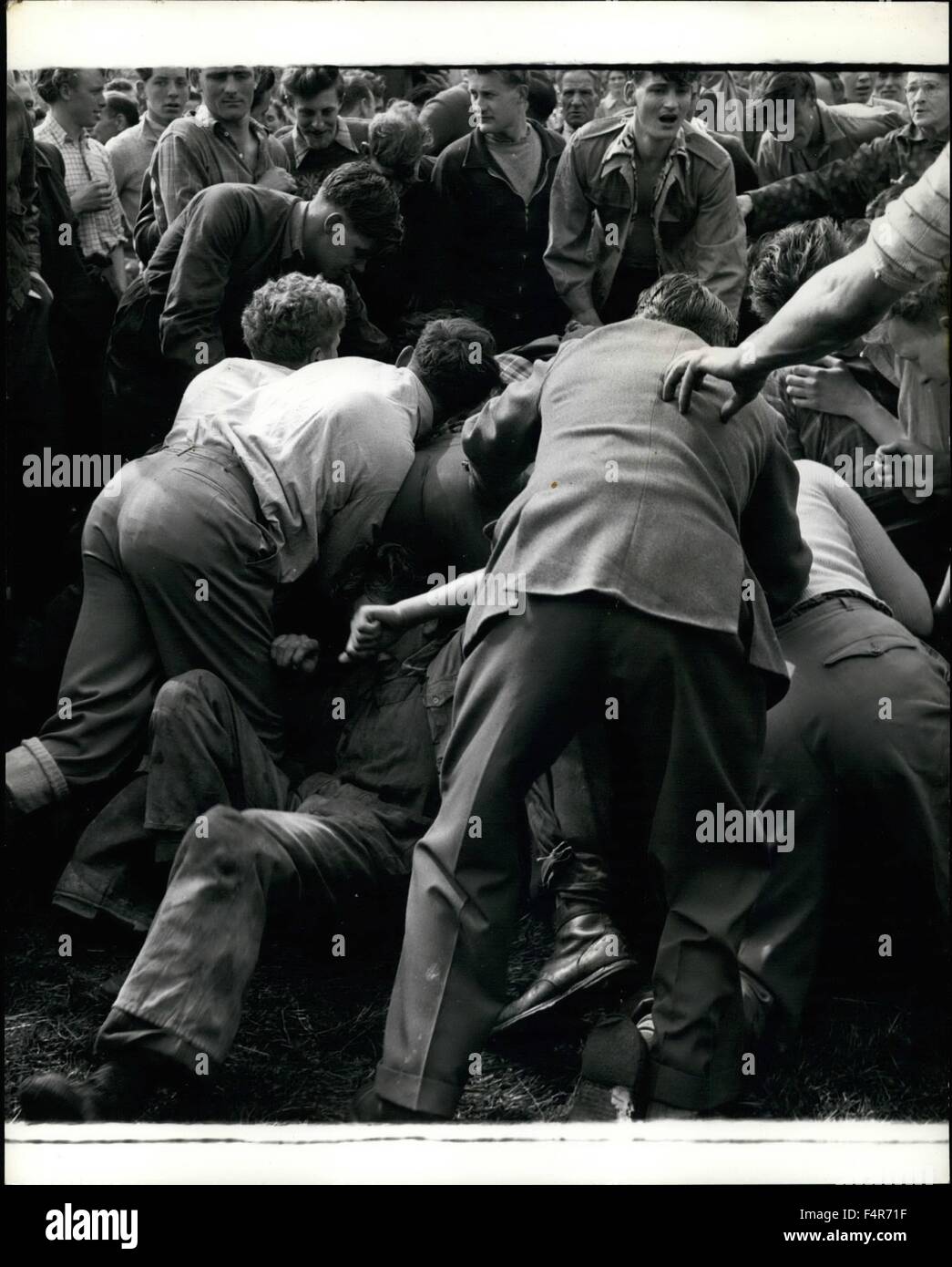 1955 - Tougher than the toughest rugger scrum is the battle for the ...