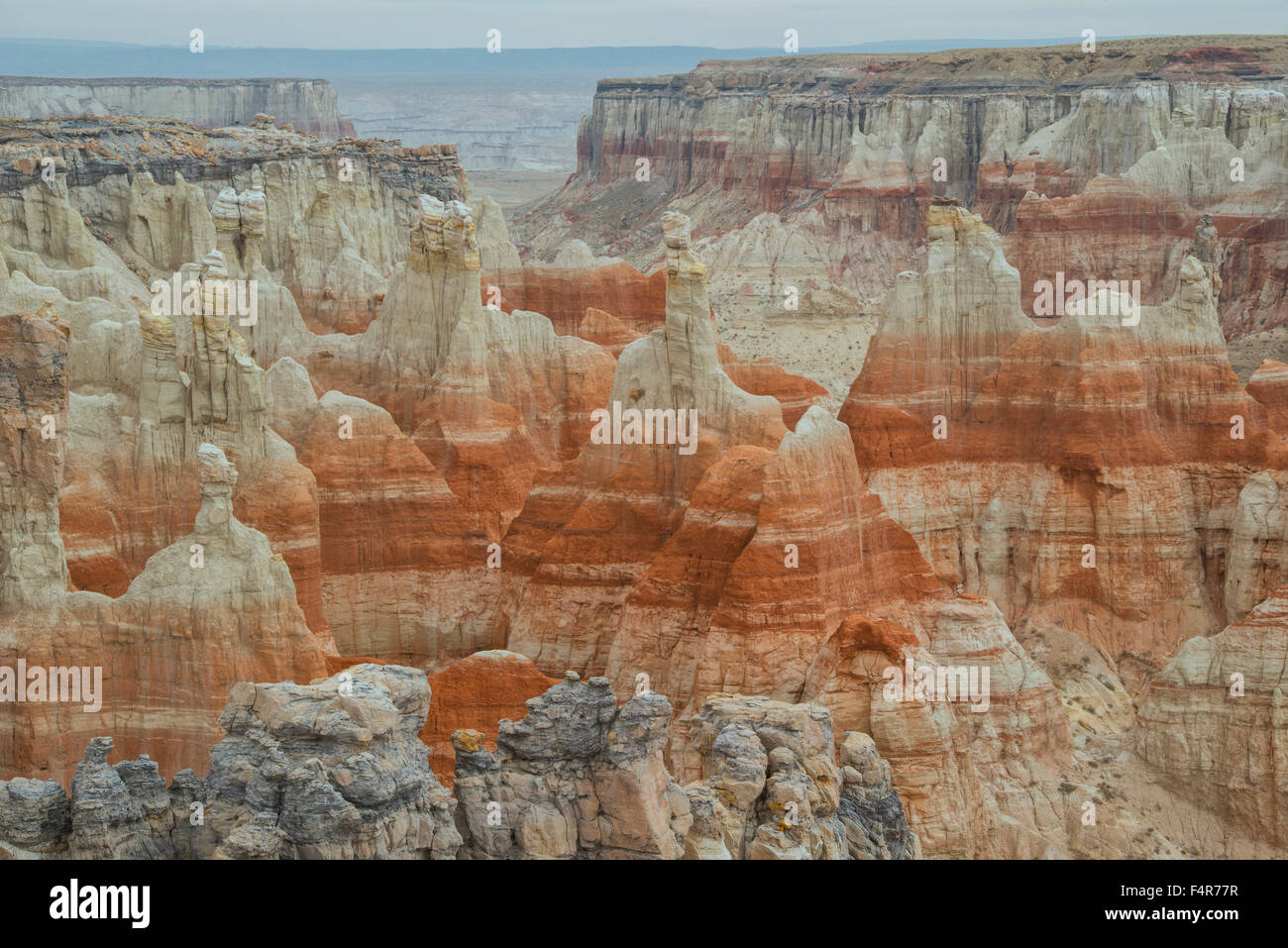 USA, United States, America, Arizona, Coal Mine Canyon, Navajo Indian ...