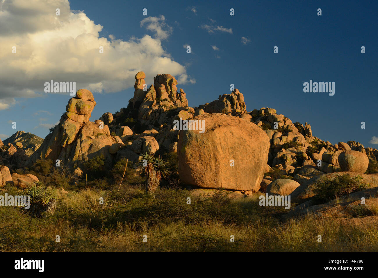 USA, United States, America, Arizona, Dragoon Mountains, rocks, Cochise ...