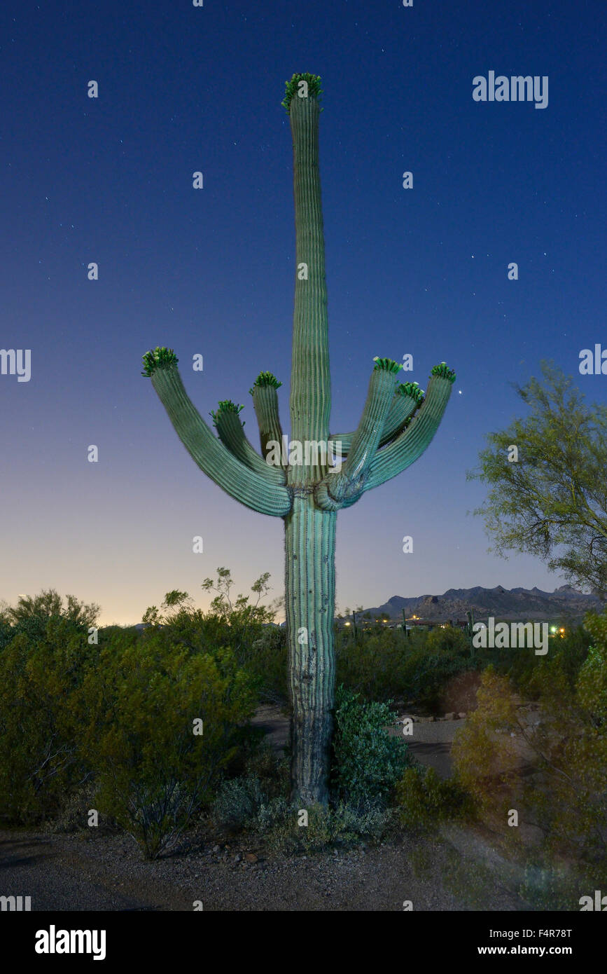 Arizona desert apache hi-res stock photography and images - Alamy