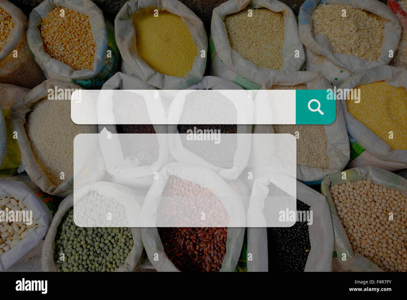 Search Box Technology Internet Browse Browsing Online Concept Stock ...