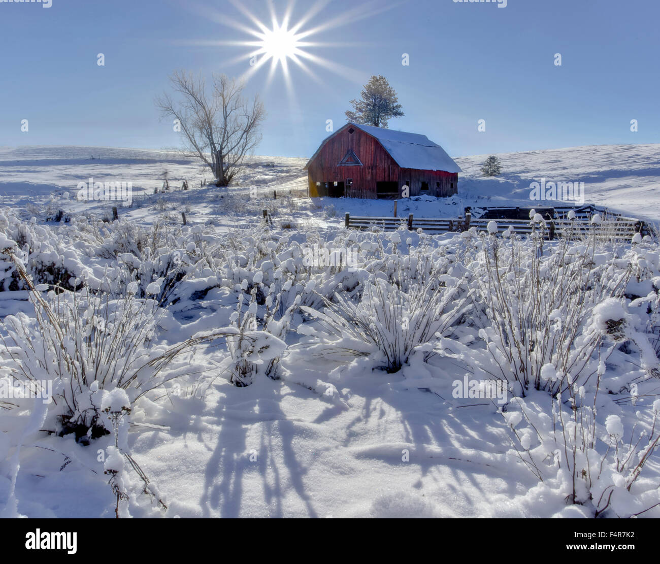 Palouse, rural, farms, Steptoe Butte, rolling hills, Spring, winter ...