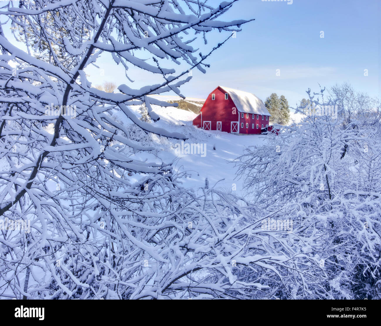 Palouse, rural, farms, Steptoe Butte, rolling hills, Spring, winter ...