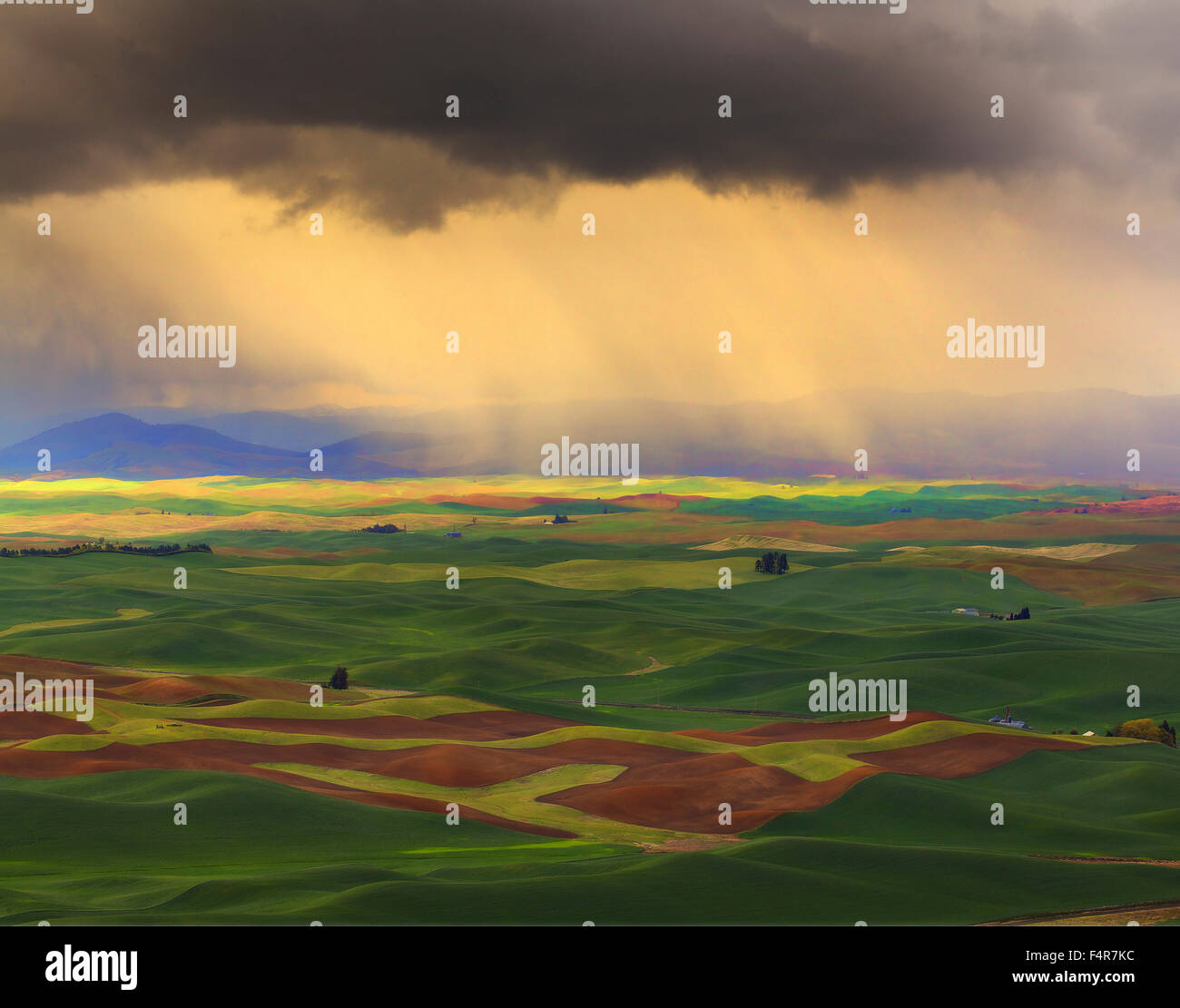 Palouse, rural, Steptoe Butte, rolling hills, Spring, Eastern ...