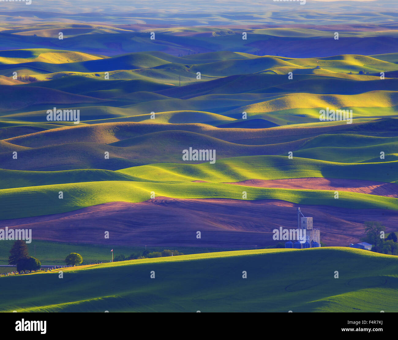 Palouse, rural, Steptoe Butte, rolling hills, Spring, Eastern ...