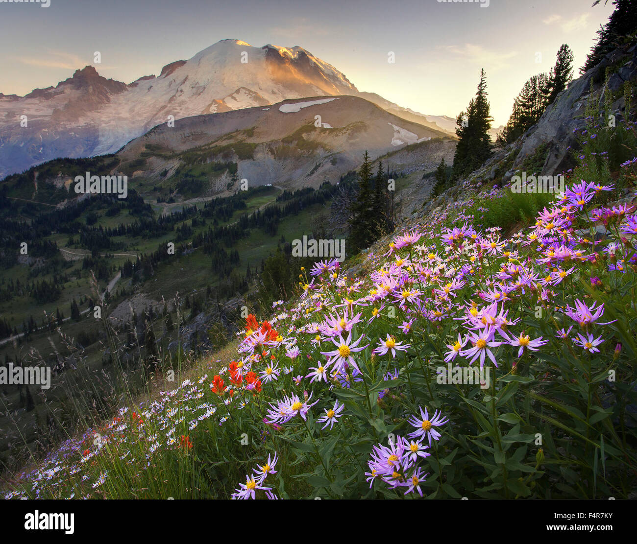 USA, United States, America, Pacific Northwest, Washington, Washington ...