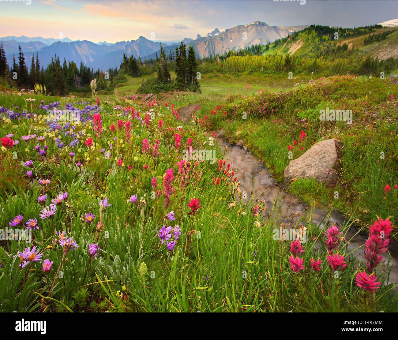 USA, United States, America, Pacific Northwest, Washington, Washington ...