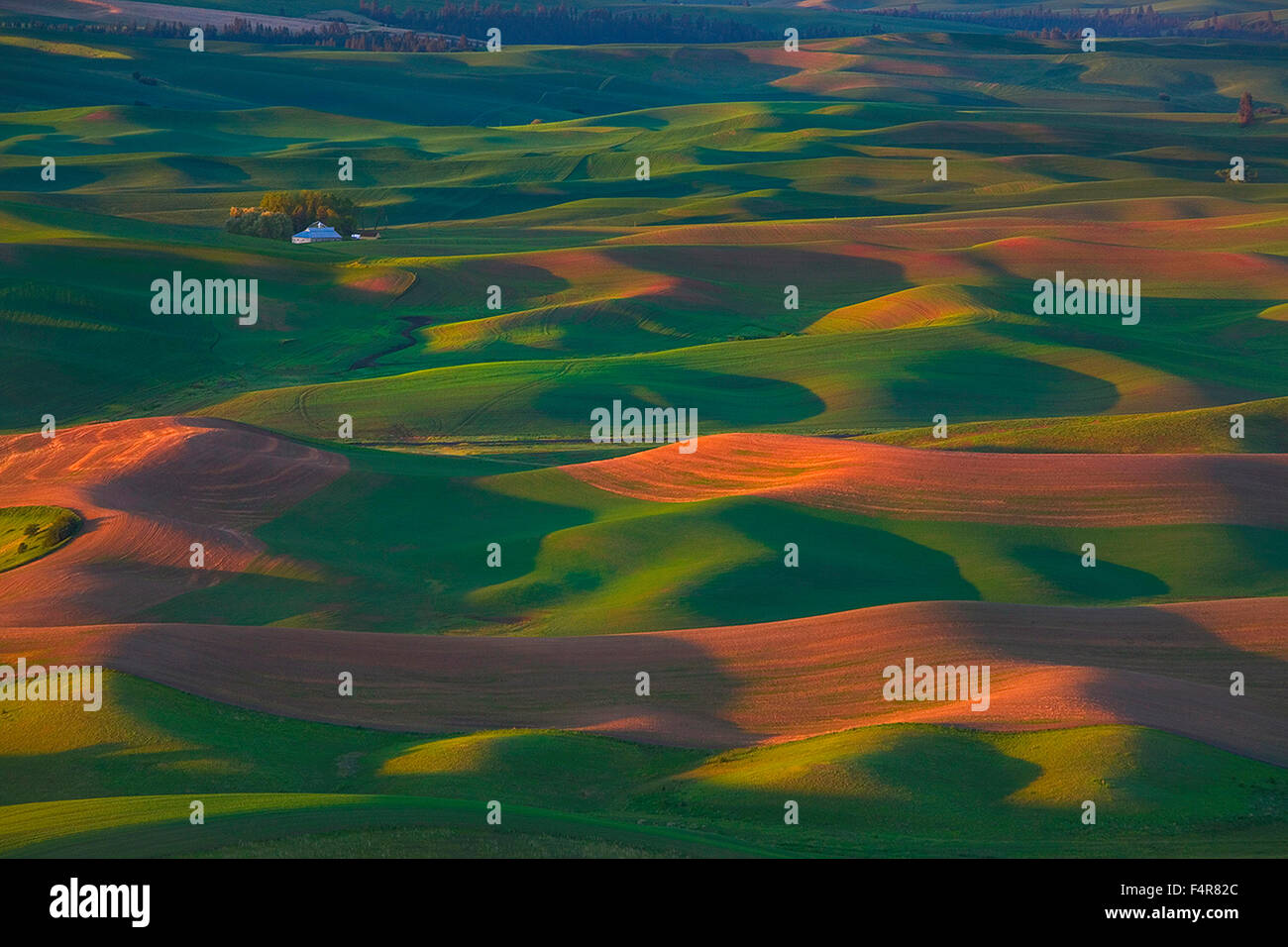 Palouse, rural, farms, fields, Steptoe Butte, rolling hills, Spring ...