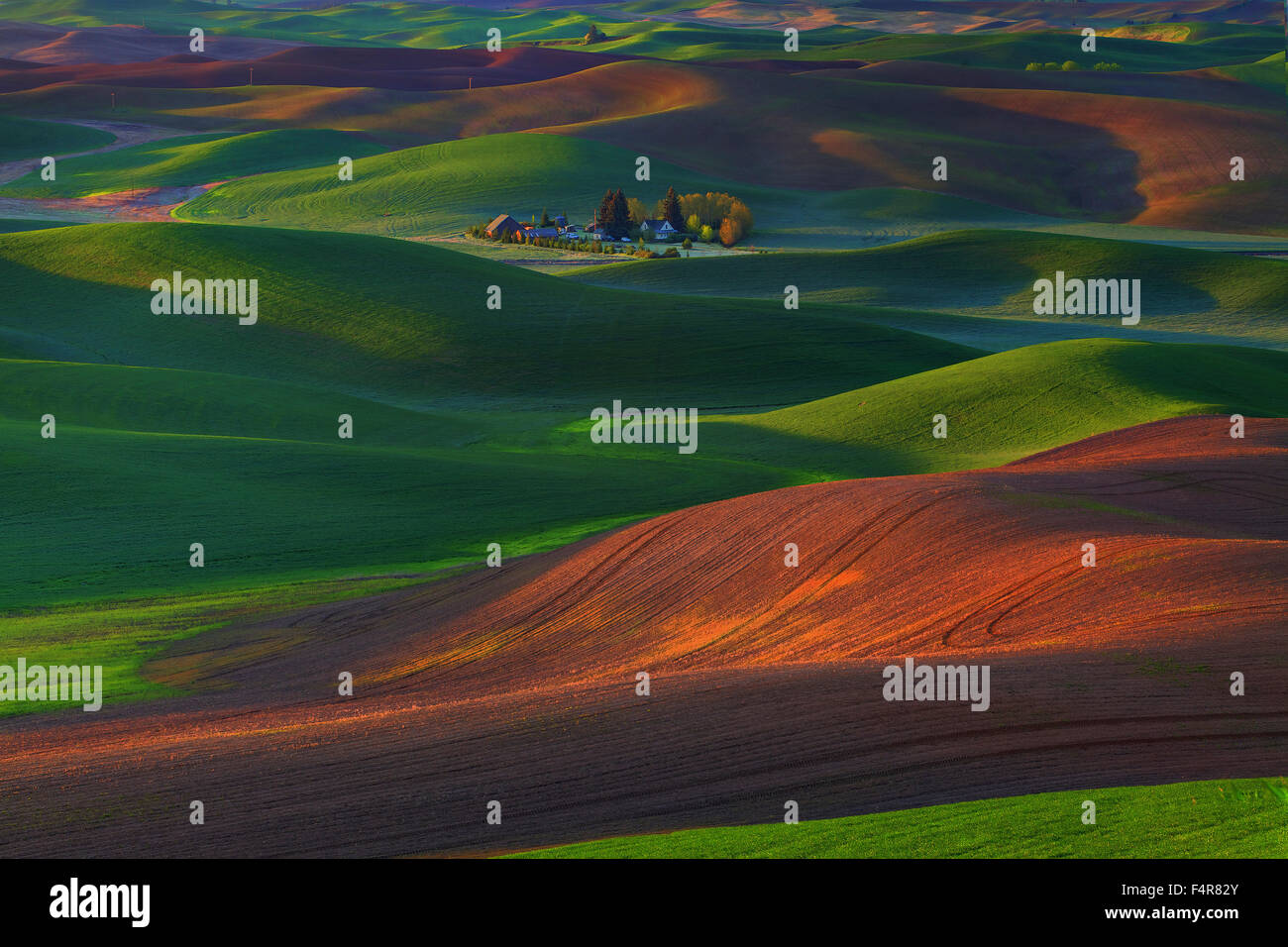Palouse, rural, farms, Steptoe Butte, rolling hills, Spring, Eastern ...