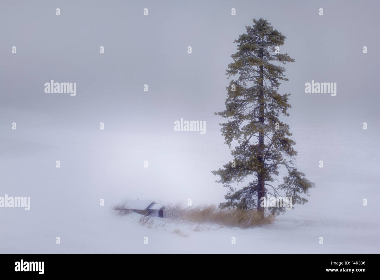 USA, United States, America, Pacific Northwest, Washington, Palouse ...