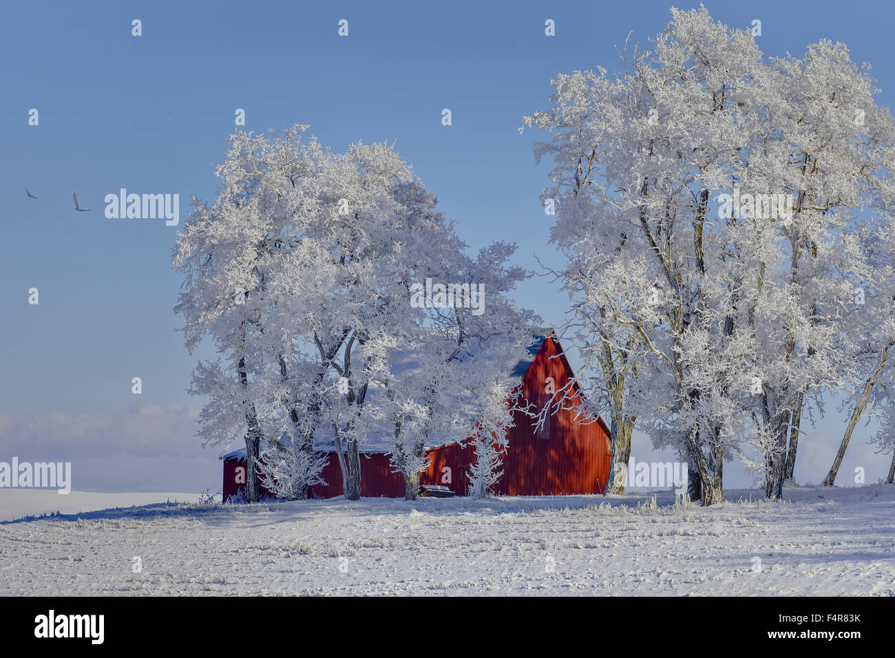 USA, United States, America, Pacific Northwest, Washington, Palouse ...